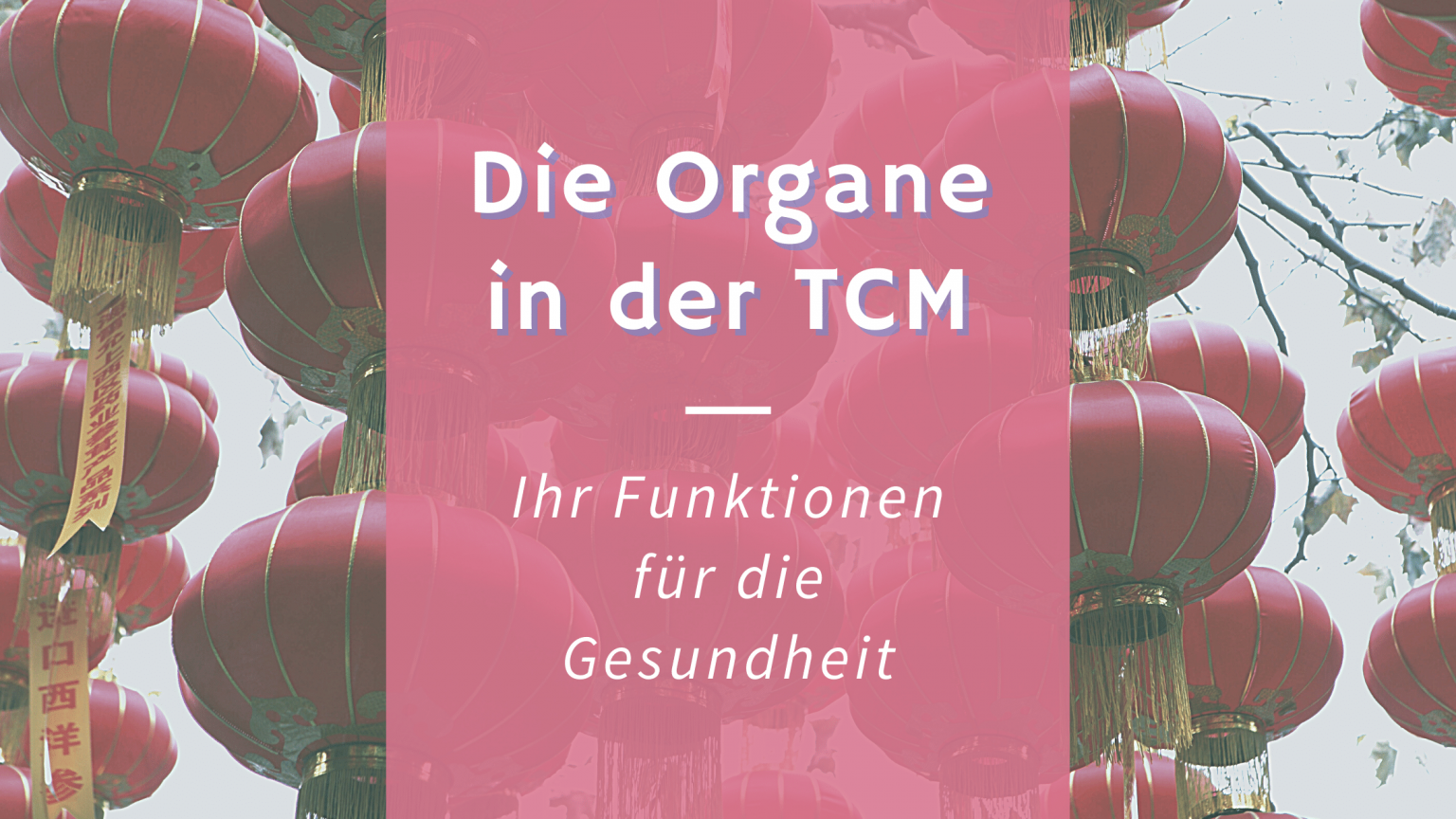 Qi - Was ist das und was versteht die TCM darunter? - DeQi